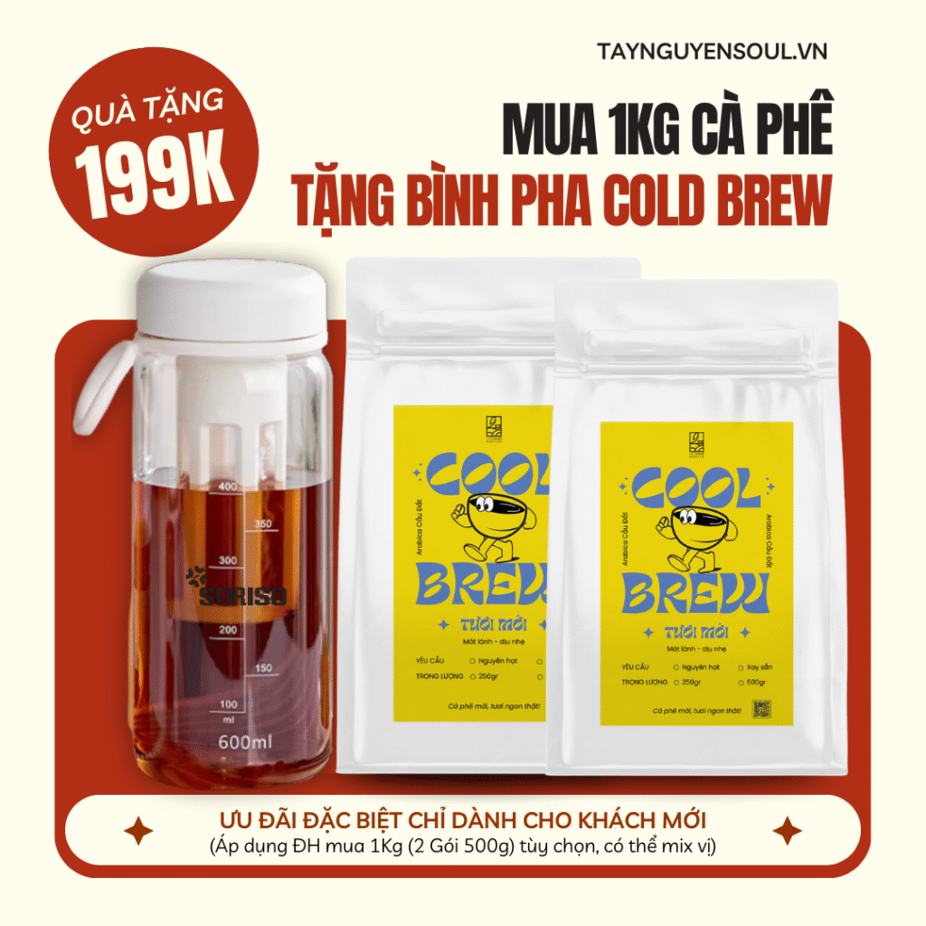 [DEAL GIỚI HẠN - ÁP MÃ TẶNG BÌNH COLD BREW] COMBO Cà Phê Cold Brew 1kg ...